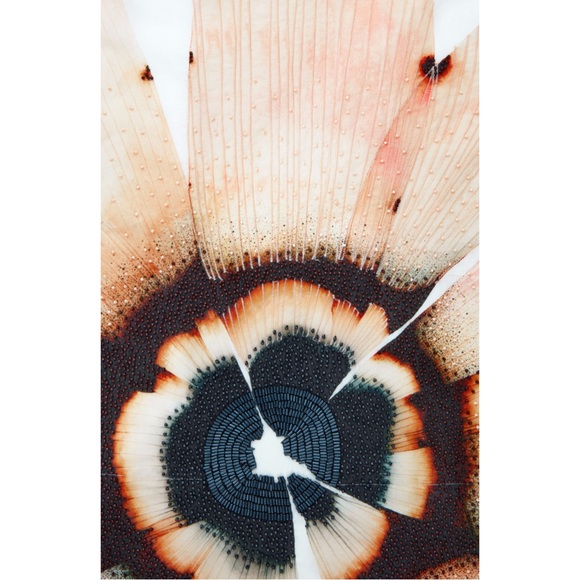 COS | Skirts | Cos Floralprint Beaded Maxi Skirt Nwt | Poshmark